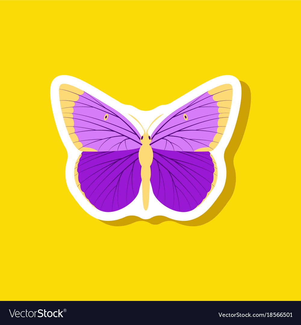 Butterfly Paper Sticker On Stylish Background Vector Image