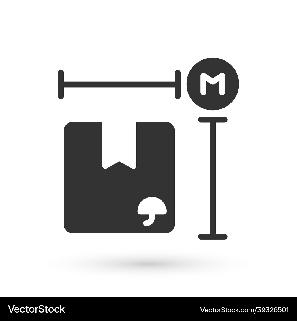 Grey carton cardboard box measurement icon Vector Image