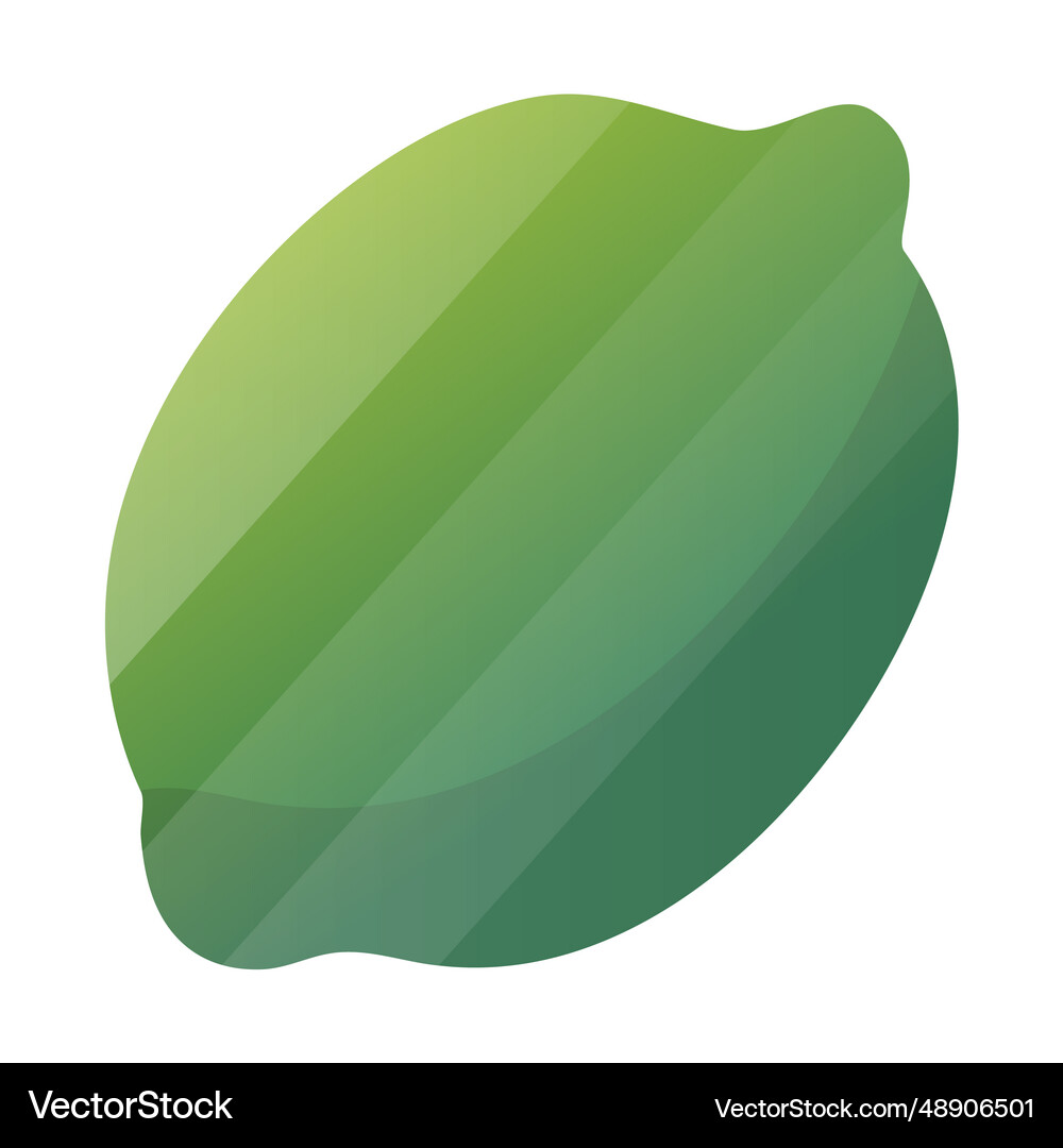 Lemon not peeled Royalty Free Vector Image - VectorStock