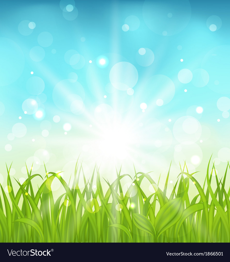 Spring nature background with grass Royalty Free Vector