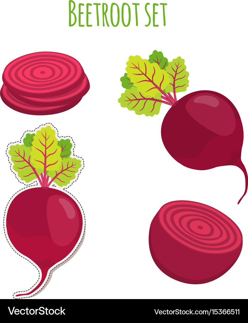 Beetroot set made in cartoon flat style Royalty Free Vector