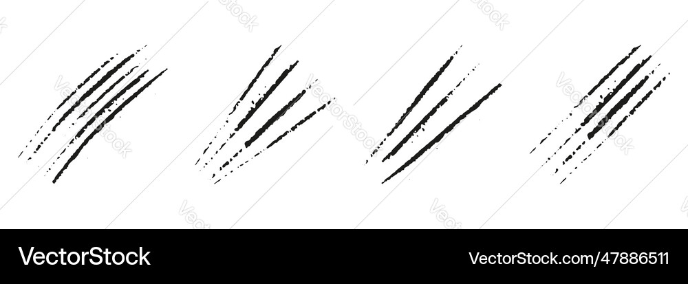 Claw scratch set tiger or cat talon beast nail Vector Image