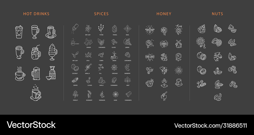 Icon and logo collection hot drinks spices Vector Image