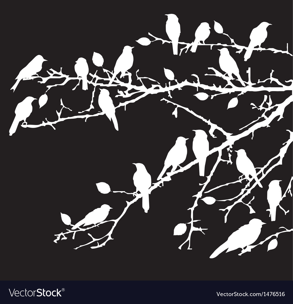 Branches with birds Royalty Free Vector Image - VectorStock