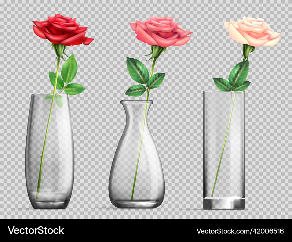 Glass vase with rose transparent set Royalty Free Vector
