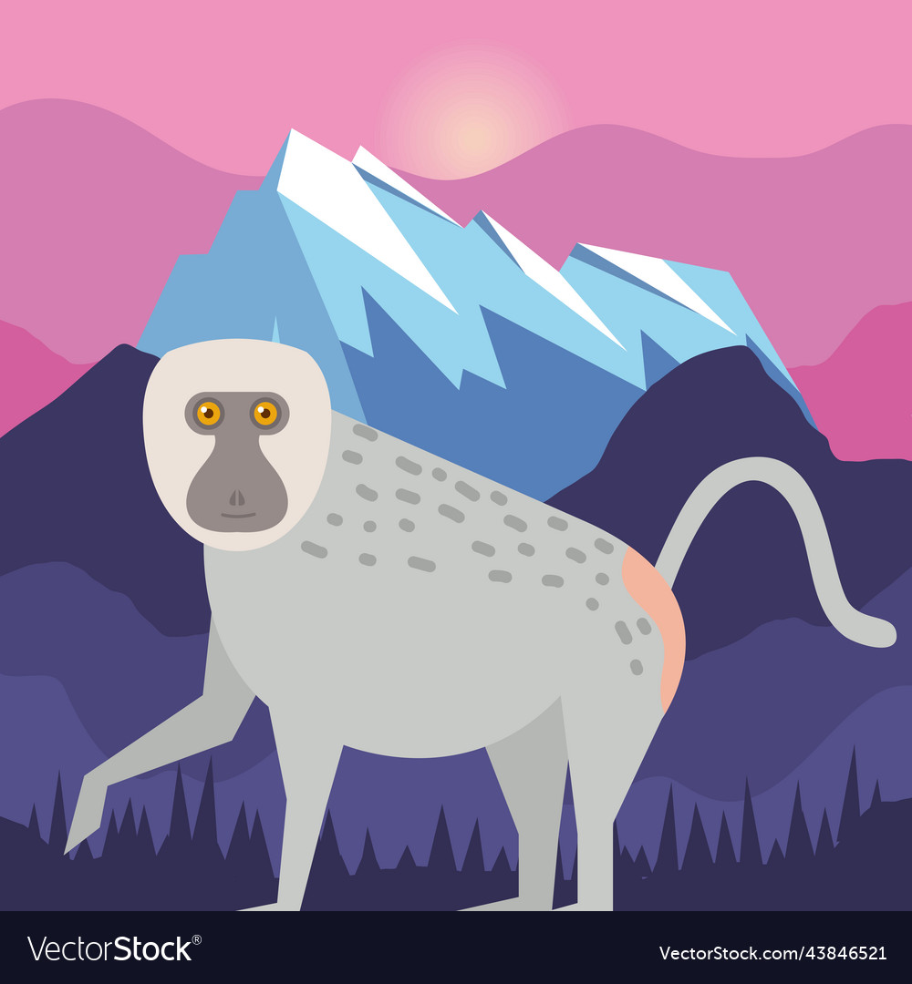 Baboon monkey and mountain Royalty Free Vector Image