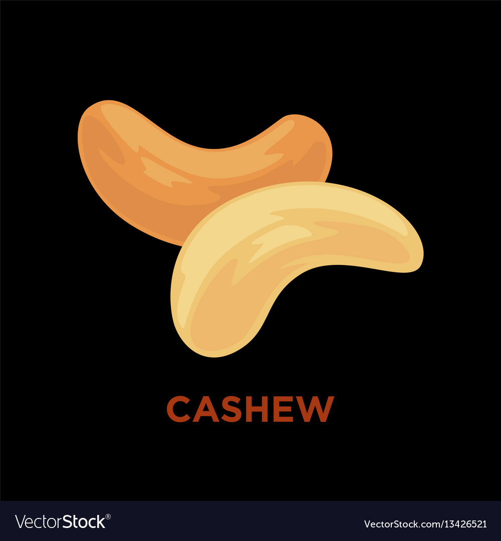 Cashew nuts Royalty Free Vector Image - VectorStock