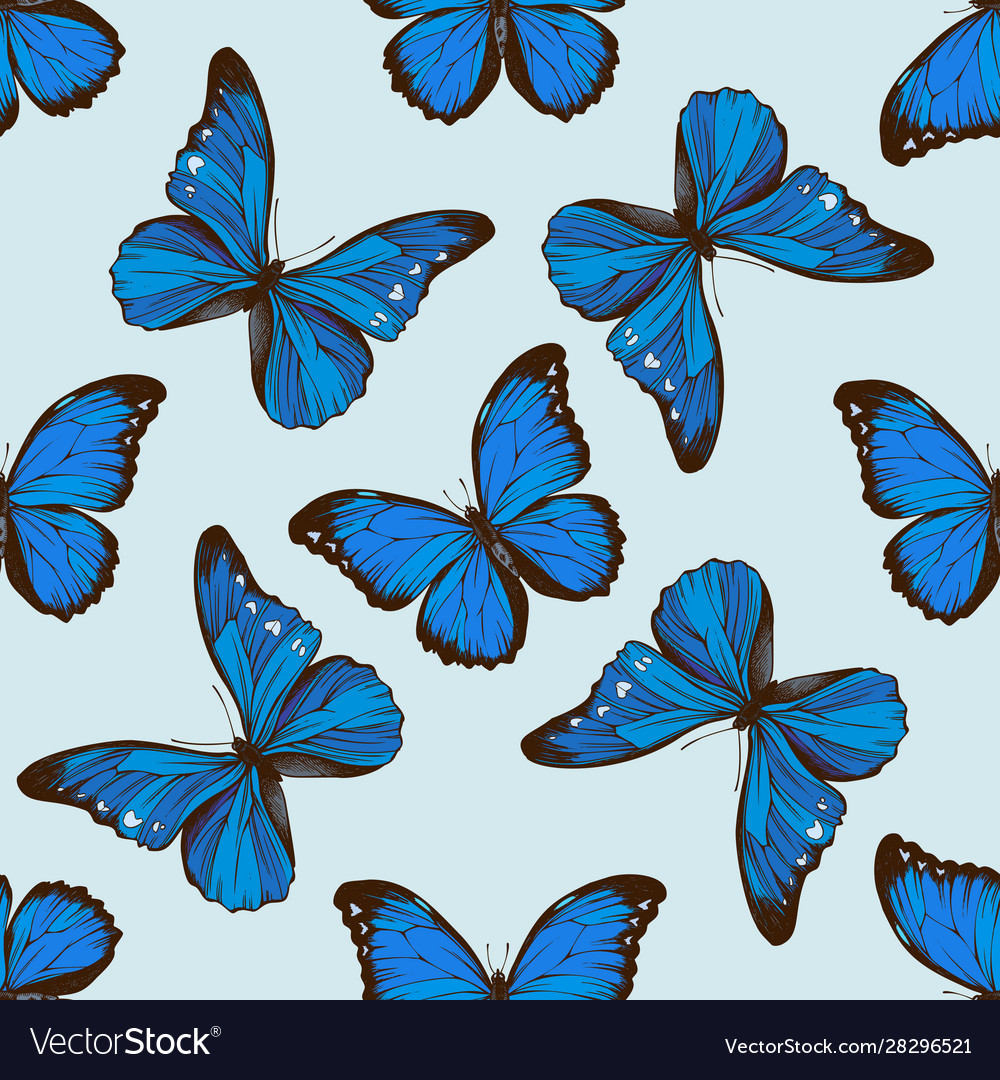 Seamless pattern with hand drawn colored morpho Vector Image