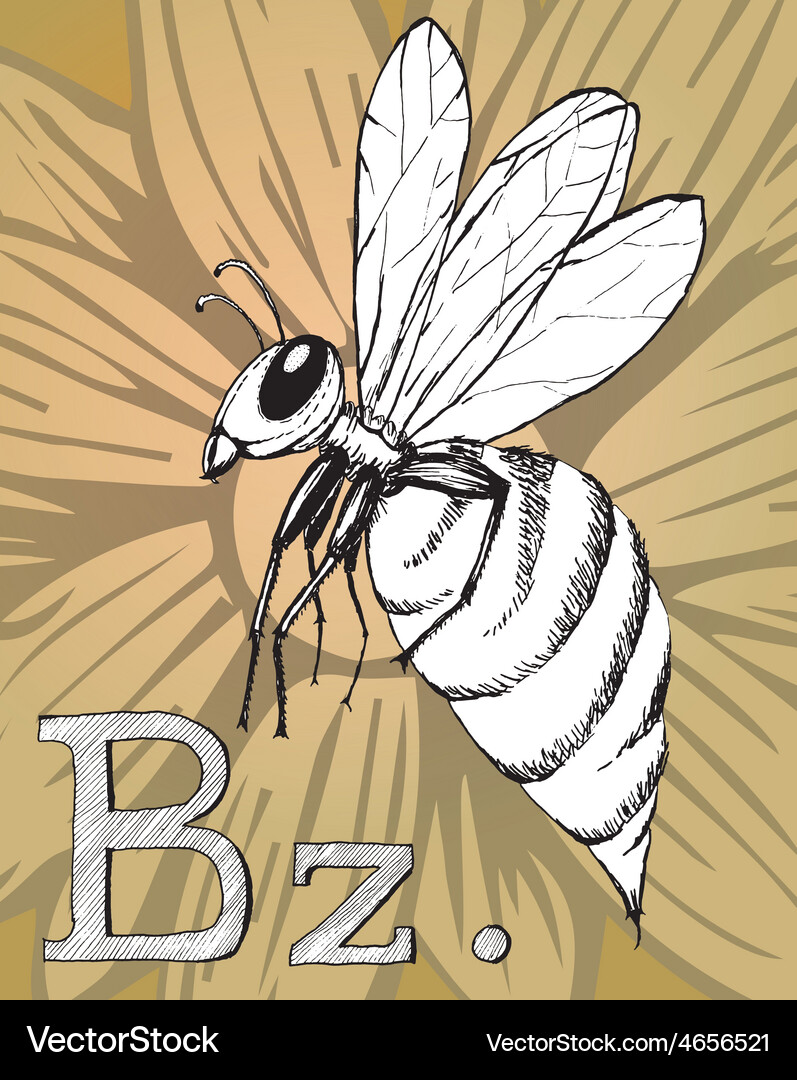 Wasp Royalty Free Vector Image - VectorStock