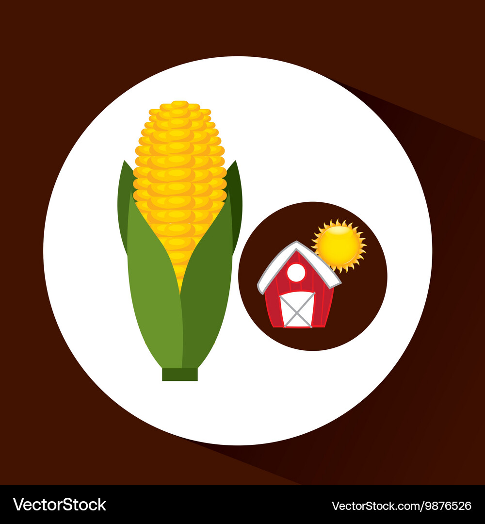 Farm countryside food corn design Royalty Free Vector Image