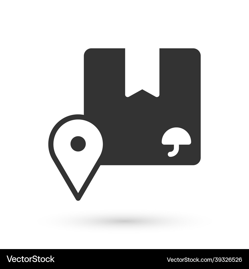 Grey location with cardboard box icon isolated Vector Image