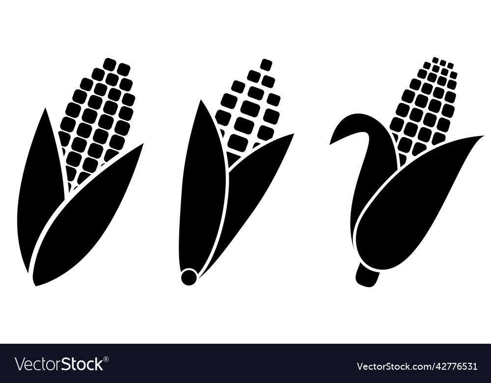 Corn icon set Royalty Free Vector Image - VectorStock