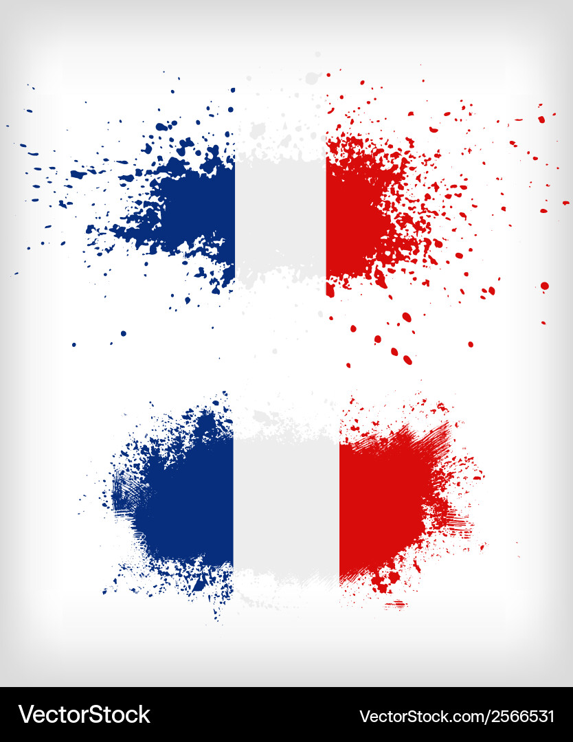Grunge french ink splattered flag Royalty Free Vector Image