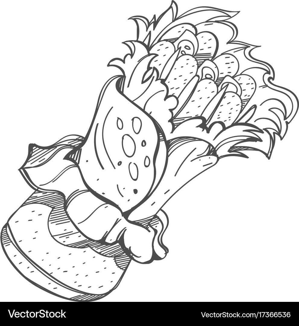 Enchilada logo traditional mexican cuisine Vector Image