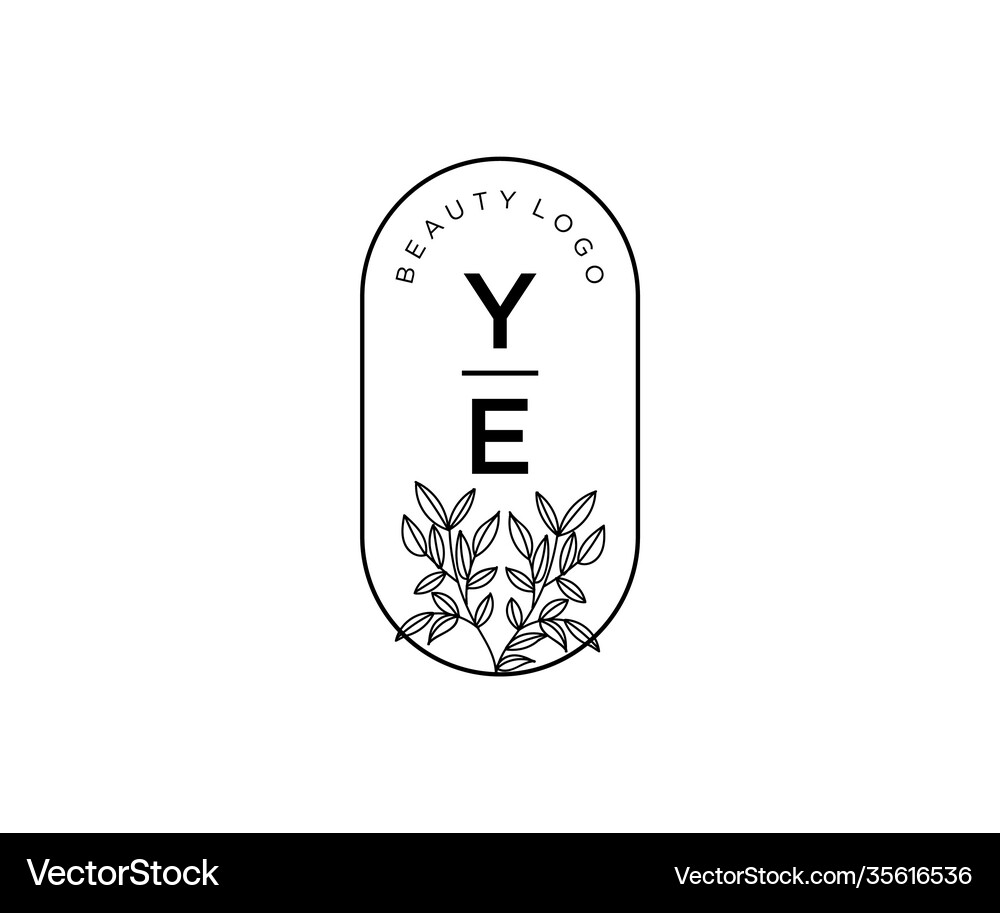 Initial ye letters beautiful floral feminine Vector Image