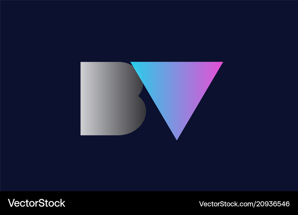 Initial alphabet letter bv b v logo company icon Vector Image