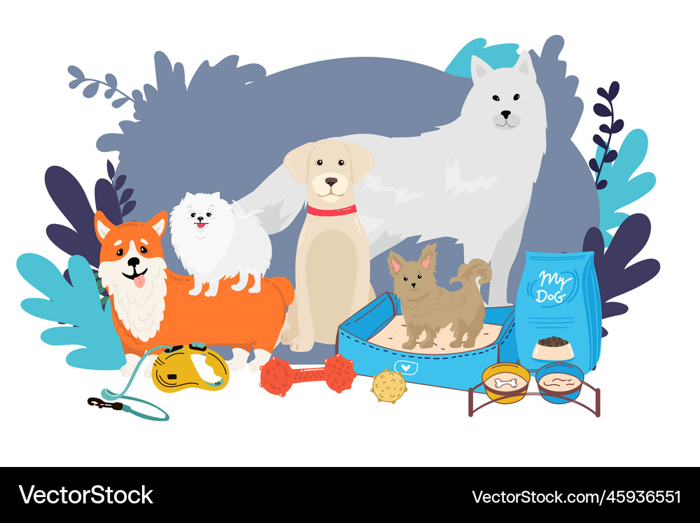 Large dogs border set front view spitz french Vector Image