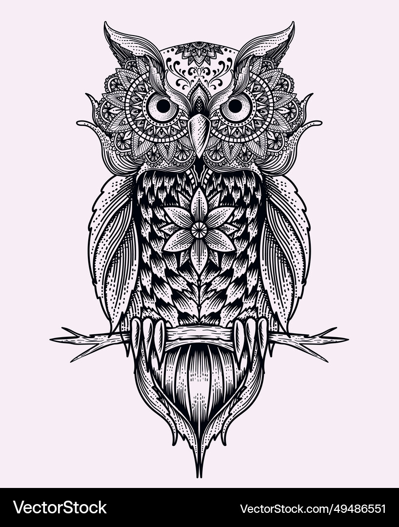 Owl bird mandala style Royalty Free Vector Image