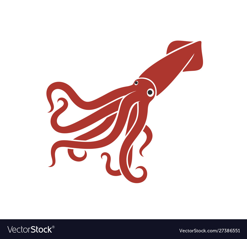 Squid Royalty Free Vector Image - VectorStock