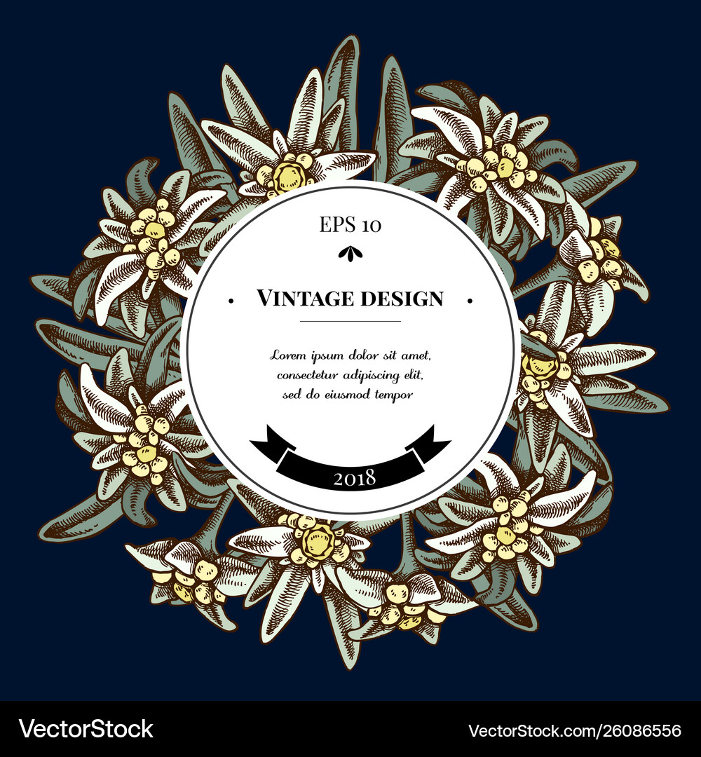 Badge over design with edelweiss Royalty Free Vector Image