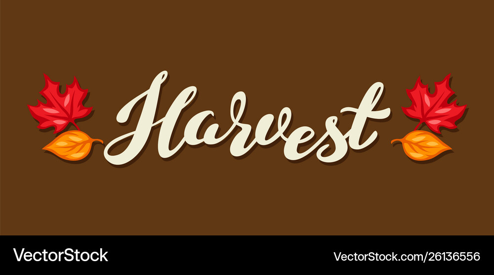 Harvest typography letteringemblem autumn Vector Image