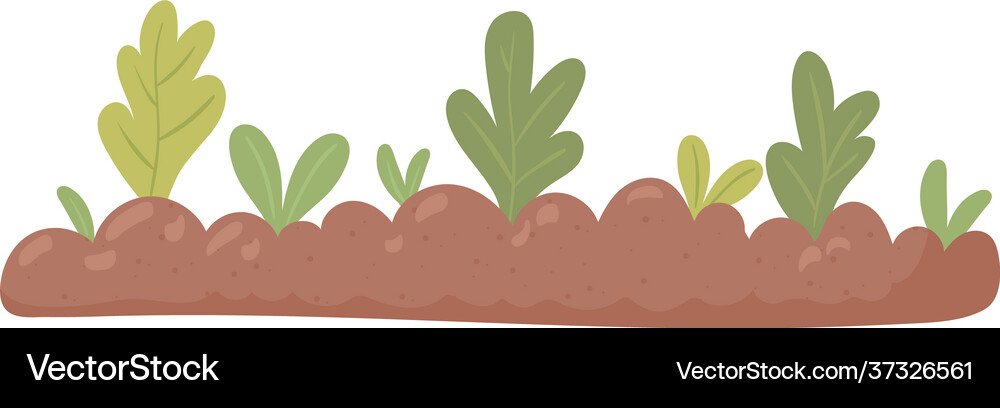 Agriculture planting vegetables Royalty Free Vector Image