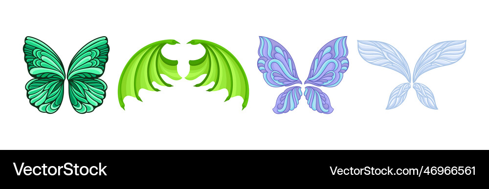 Colorful wings of different flying creature Vector Image