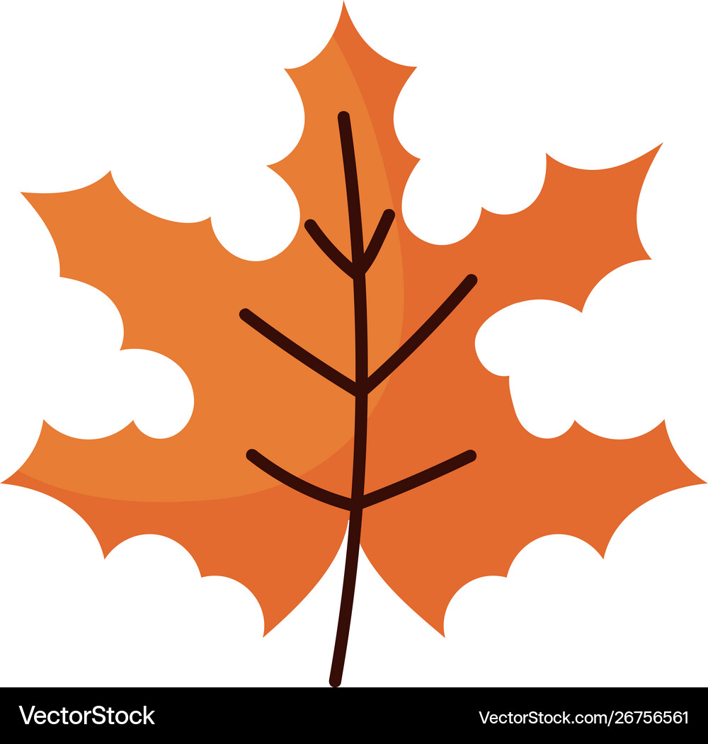 Isolated leaf design Royalty Free Vector Image