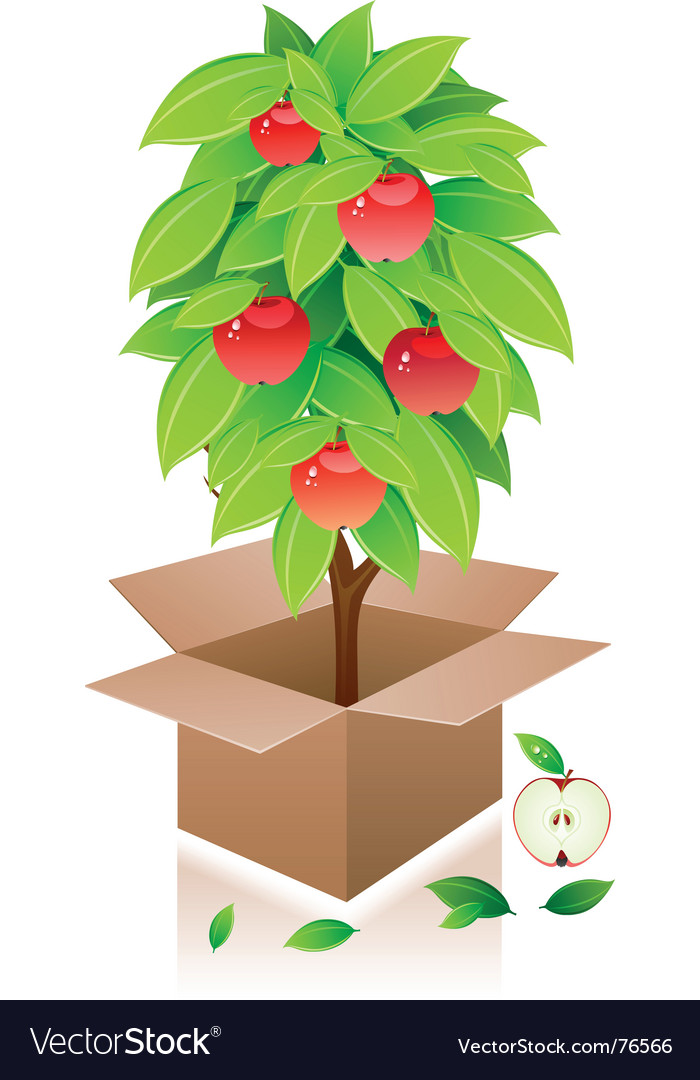 Apple tree Royalty Free Vector Image - VectorStock