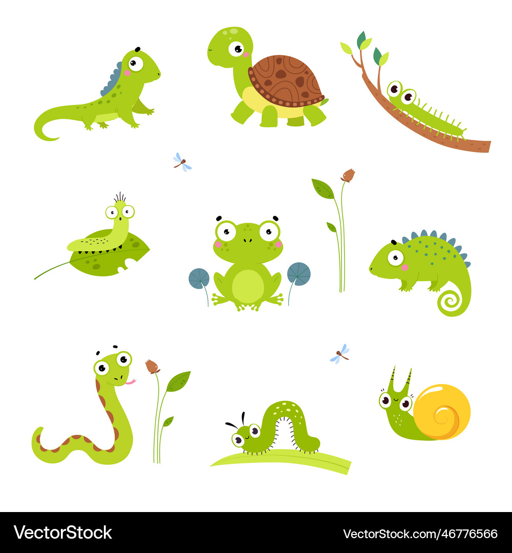 Happy green animals with turtle frog snake Vector Image