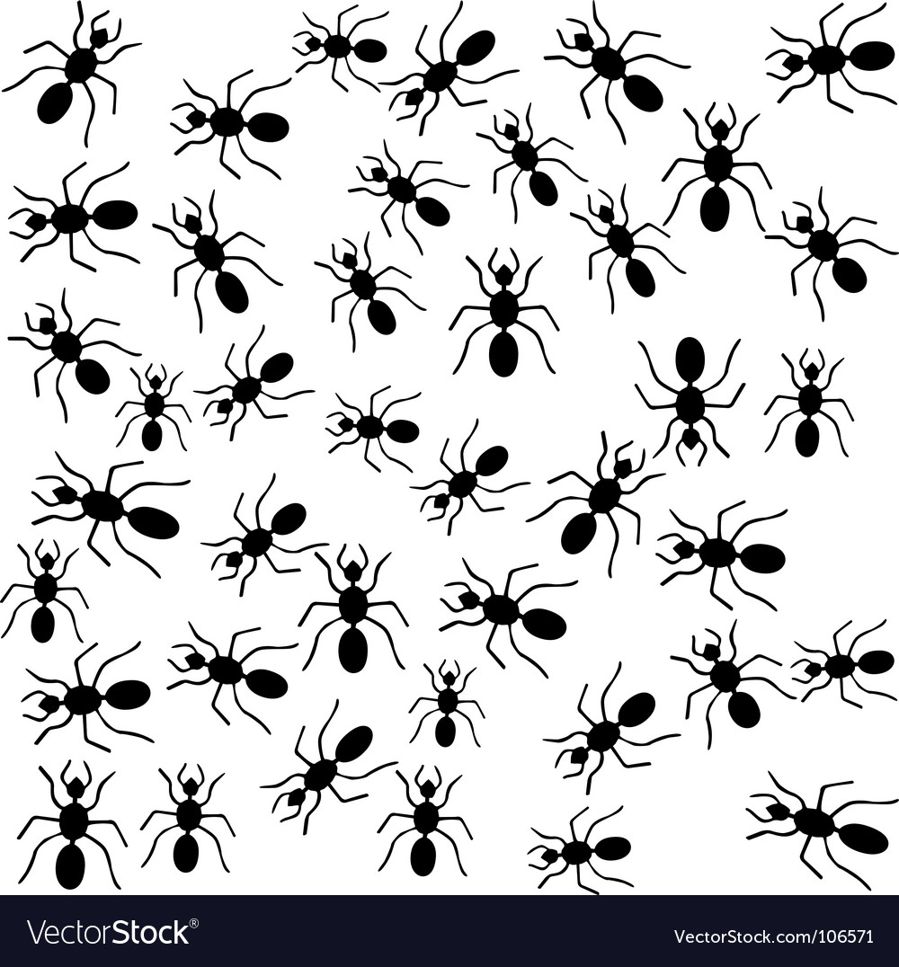 Ants Royalty Free Vector Image - VectorStock
