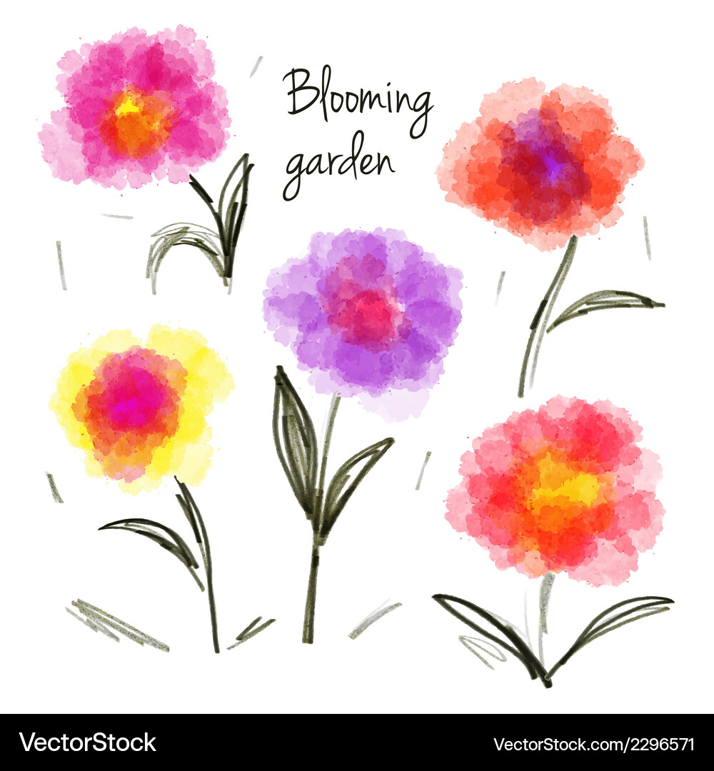 Set of blooming flowers Royalty Free Vector Image