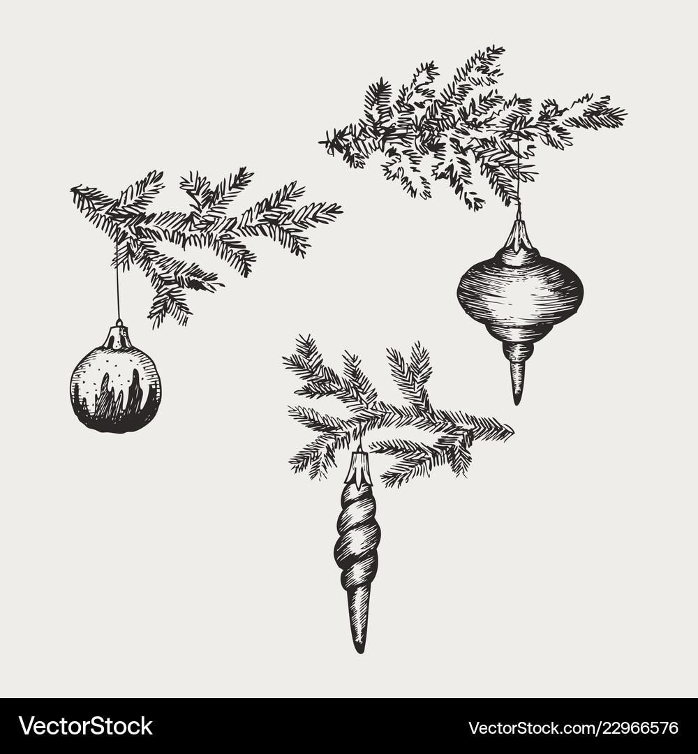 Christmas hand drawn fur tree for xmas design Vector Image