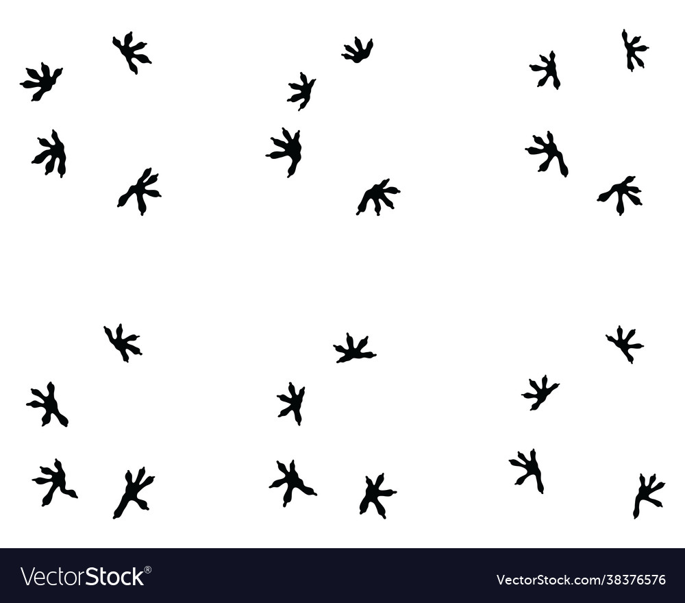 Footprints lizard Royalty Free Vector Image - VectorStock