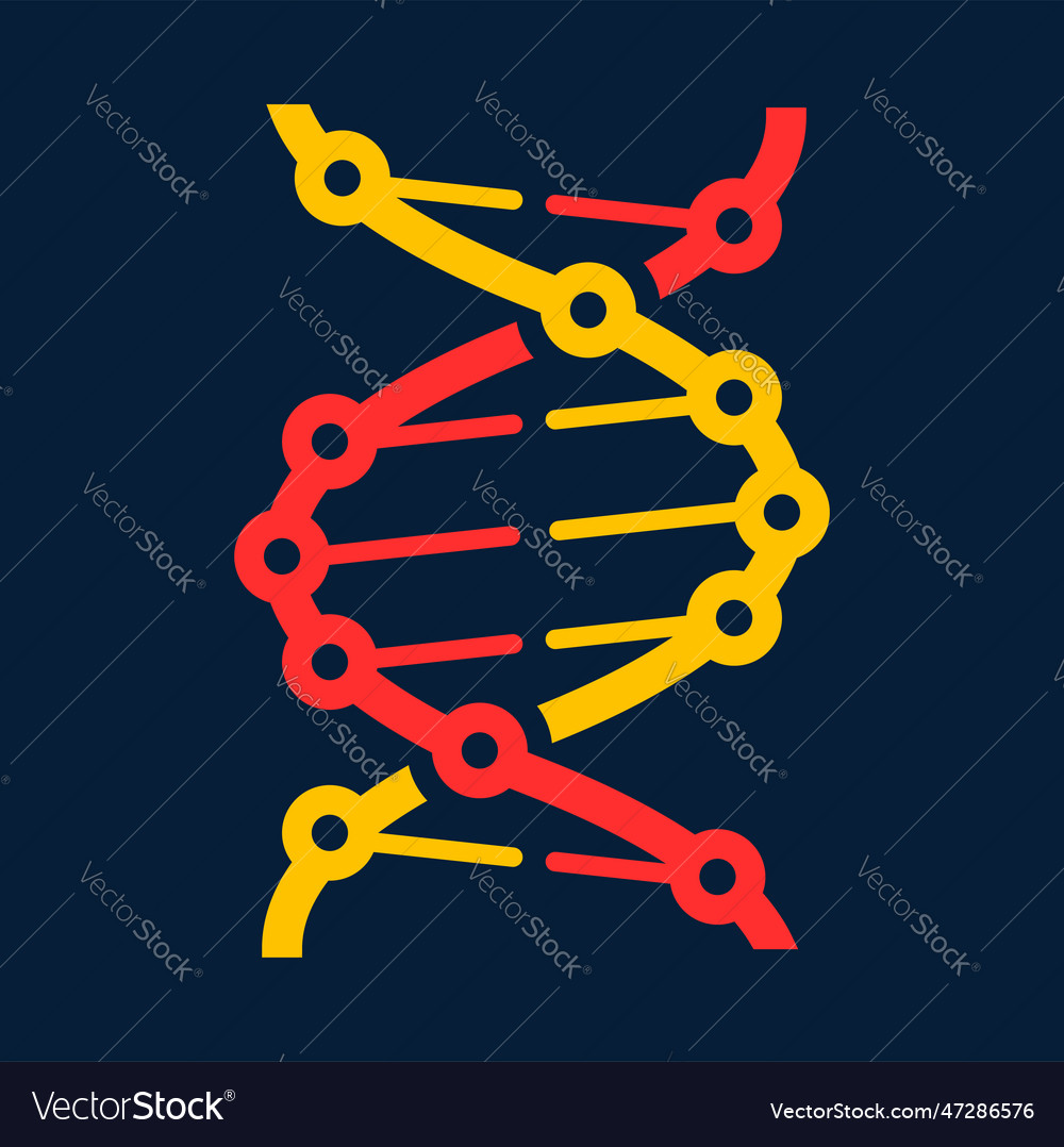 Helix structure genetic code twisted dna molecule Vector Image
