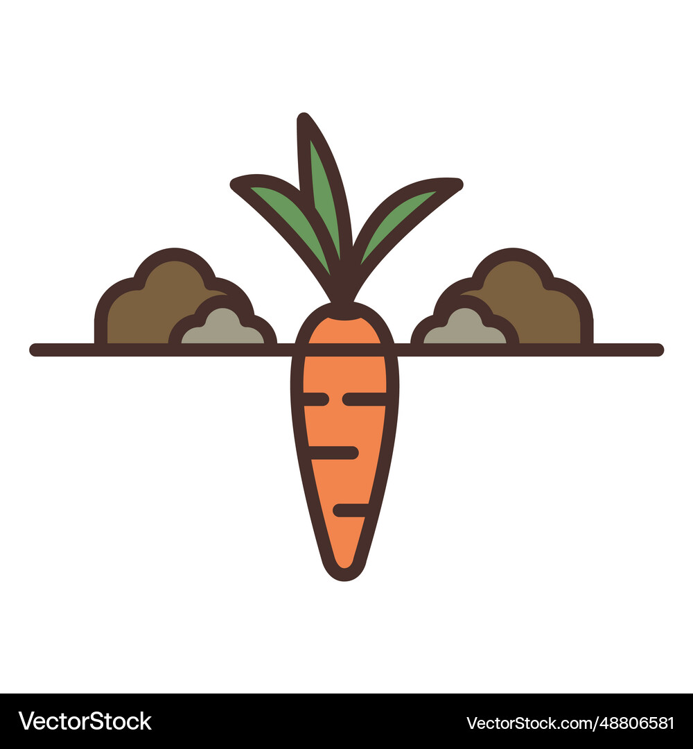 Farm carrot Royalty Free Vector Image - VectorStock