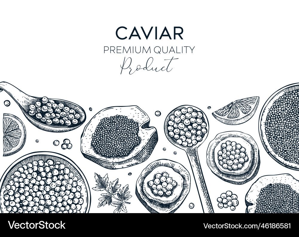 Seafood background design with red caviar canape Vector Image