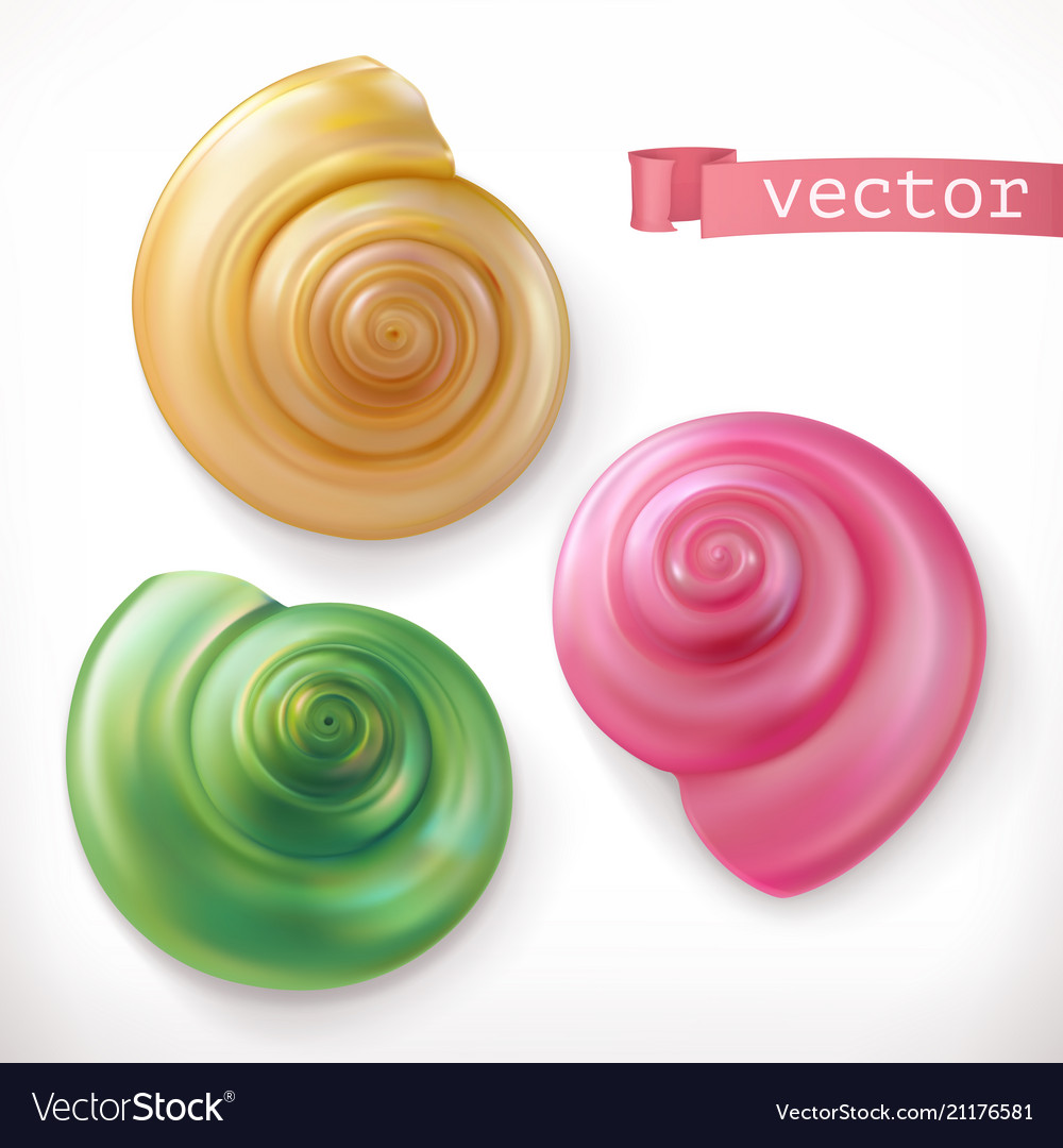 Shells snails 3d icon set Royalty Free Vector Image