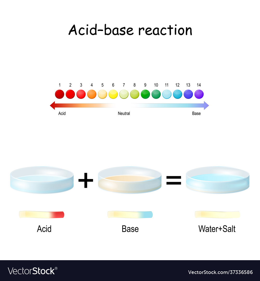 Litmus Paper