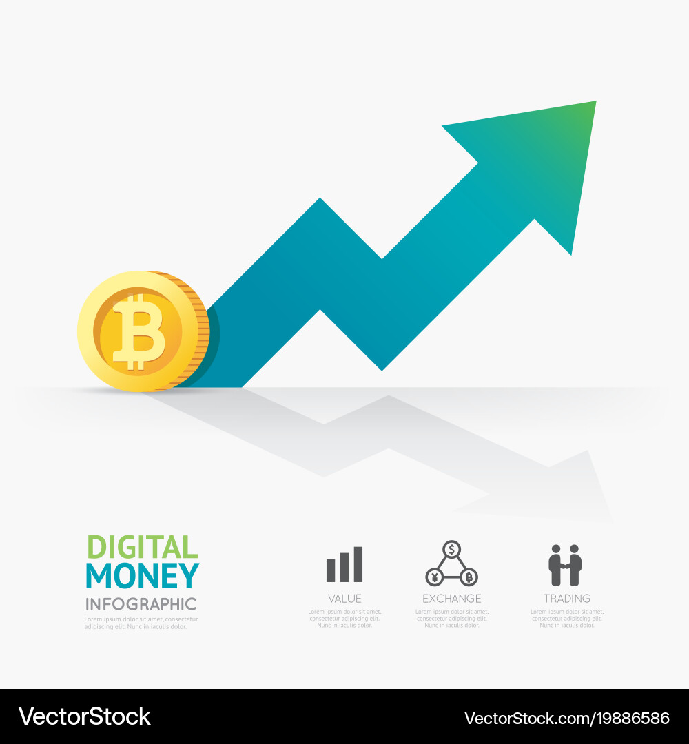 Infographic business digital cryptocurrency money Vector Image