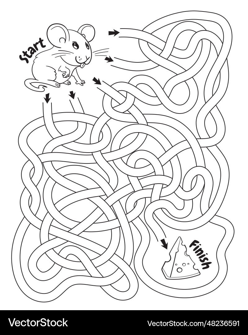 Help the mouse through the maze and find his way Vector Image