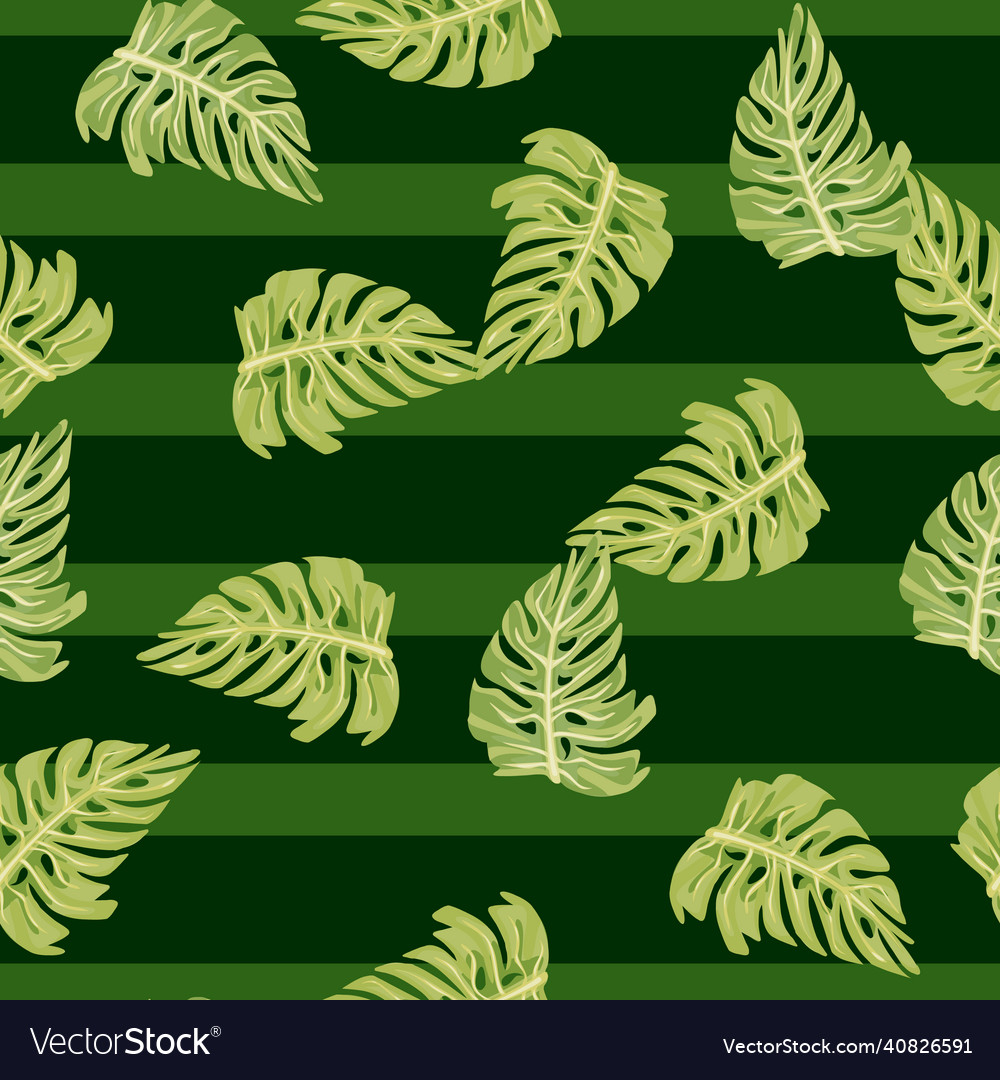 Monstera leaf seamless pattern with hand drawn Vector Image