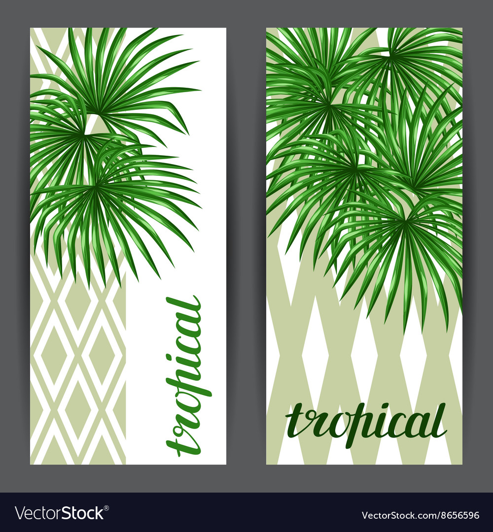 Banners with palms leaves decorative image Vector Image