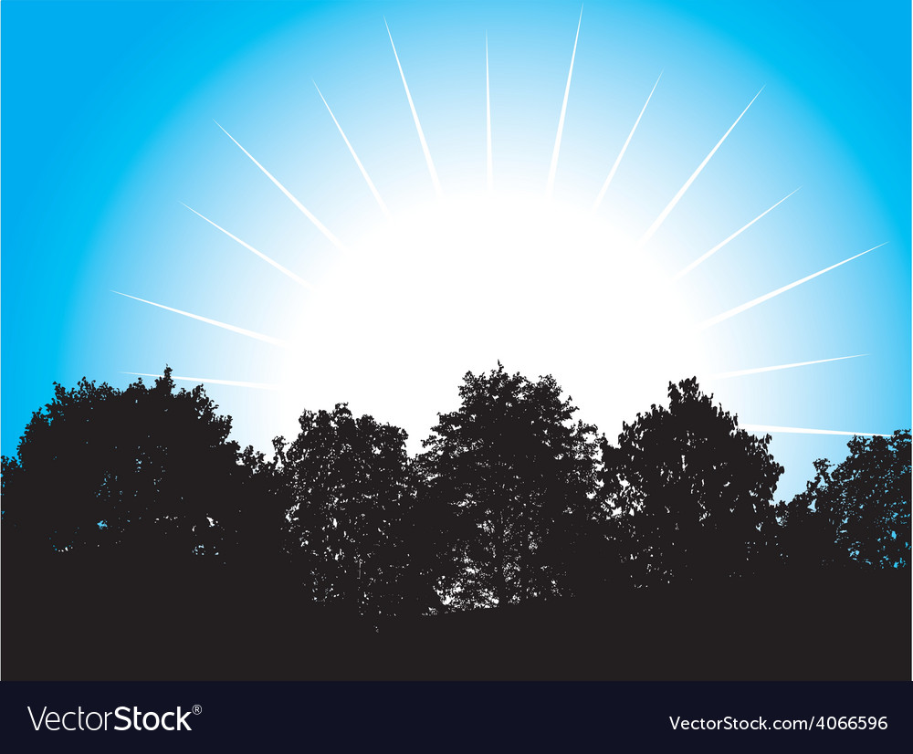 White sun Royalty Free Vector Image - VectorStock