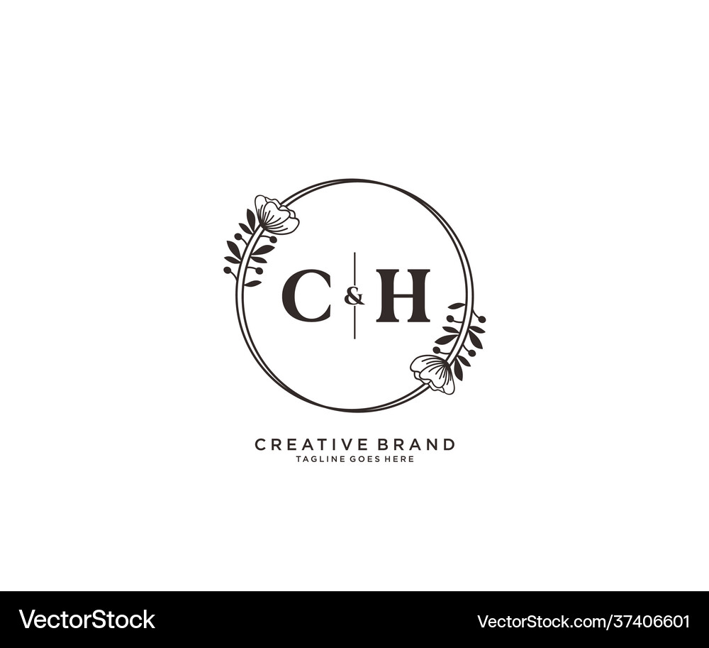 Initial ch letters hand drawn feminine and floral Vector Image