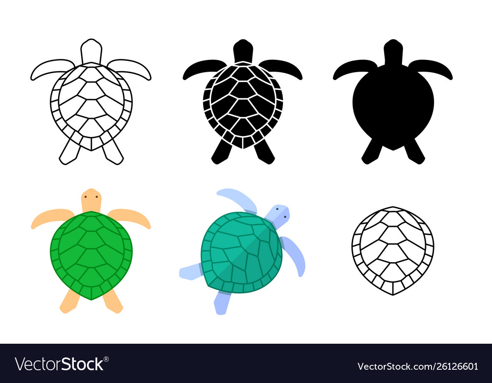 Set turtle icons and sign in art Royalty Free Vector Image