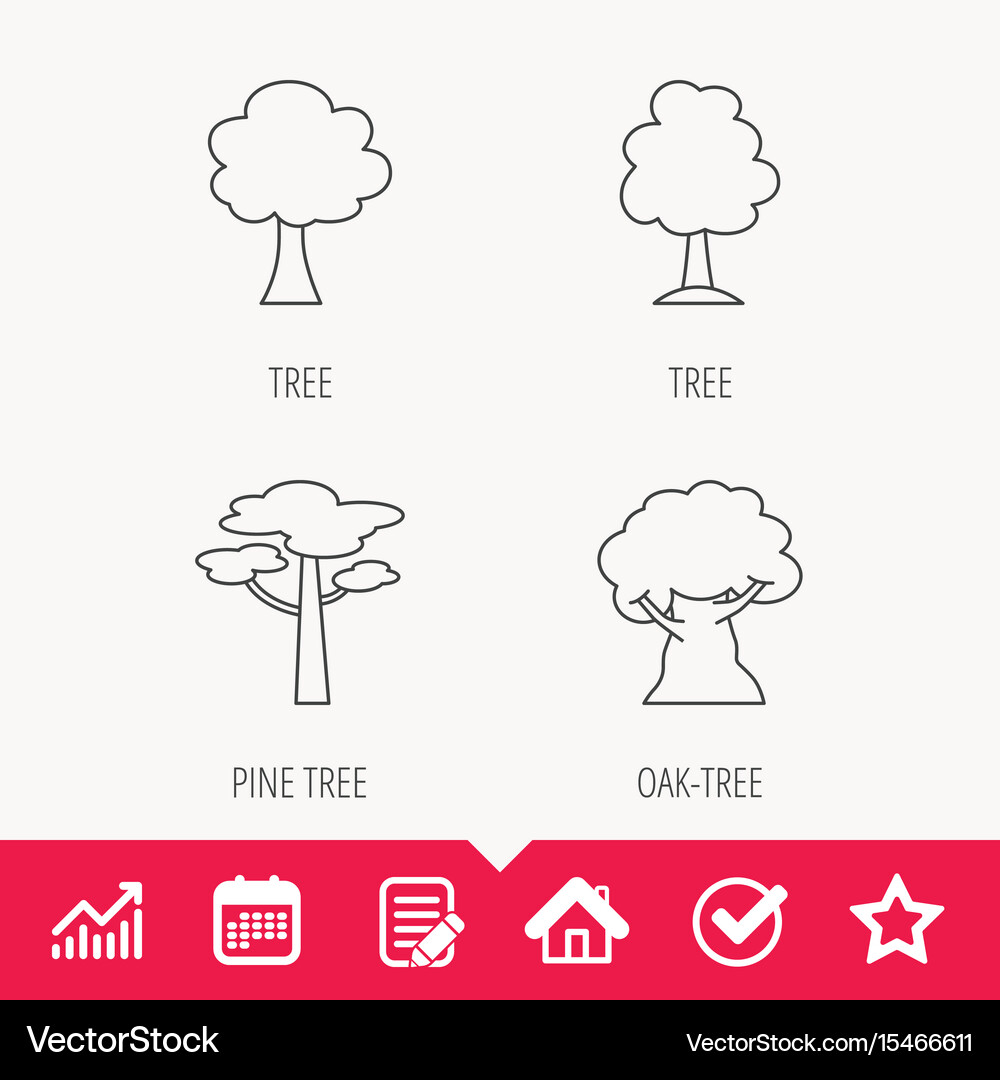 Pine tree oak-tree icons Royalty Free Vector Image