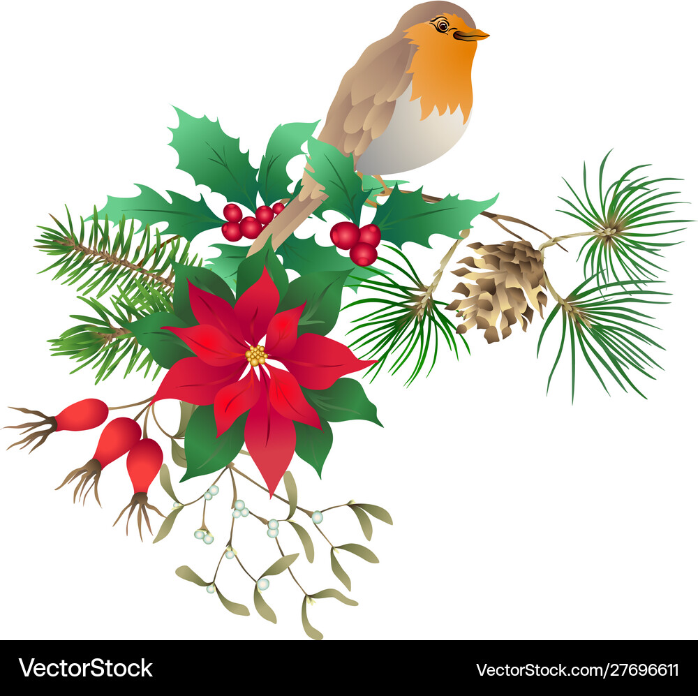 Robin bird - a symbol christmas Royalty Free Vector Image