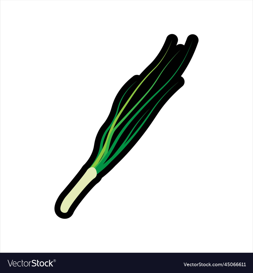 Scallion vegetable Royalty Free Vector Image - VectorStock