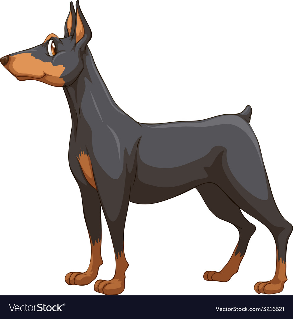 Dog Royalty Free Vector Image - VectorStock